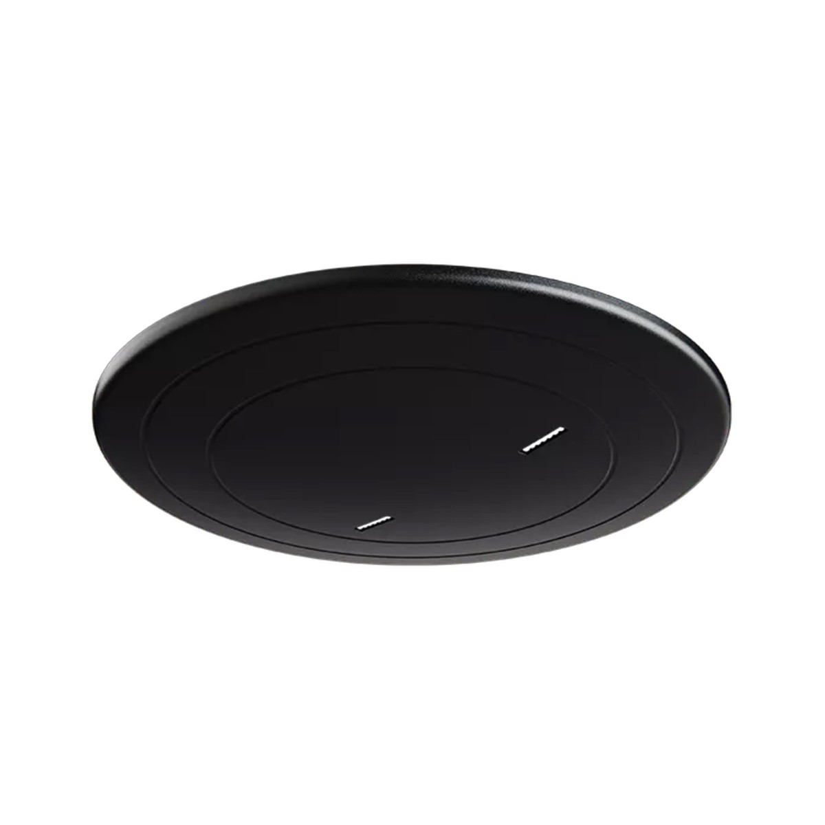 BEA Eagle Artek Ceiling Accessory (Black) - 10EACA-BLK - Gate Opener Safety