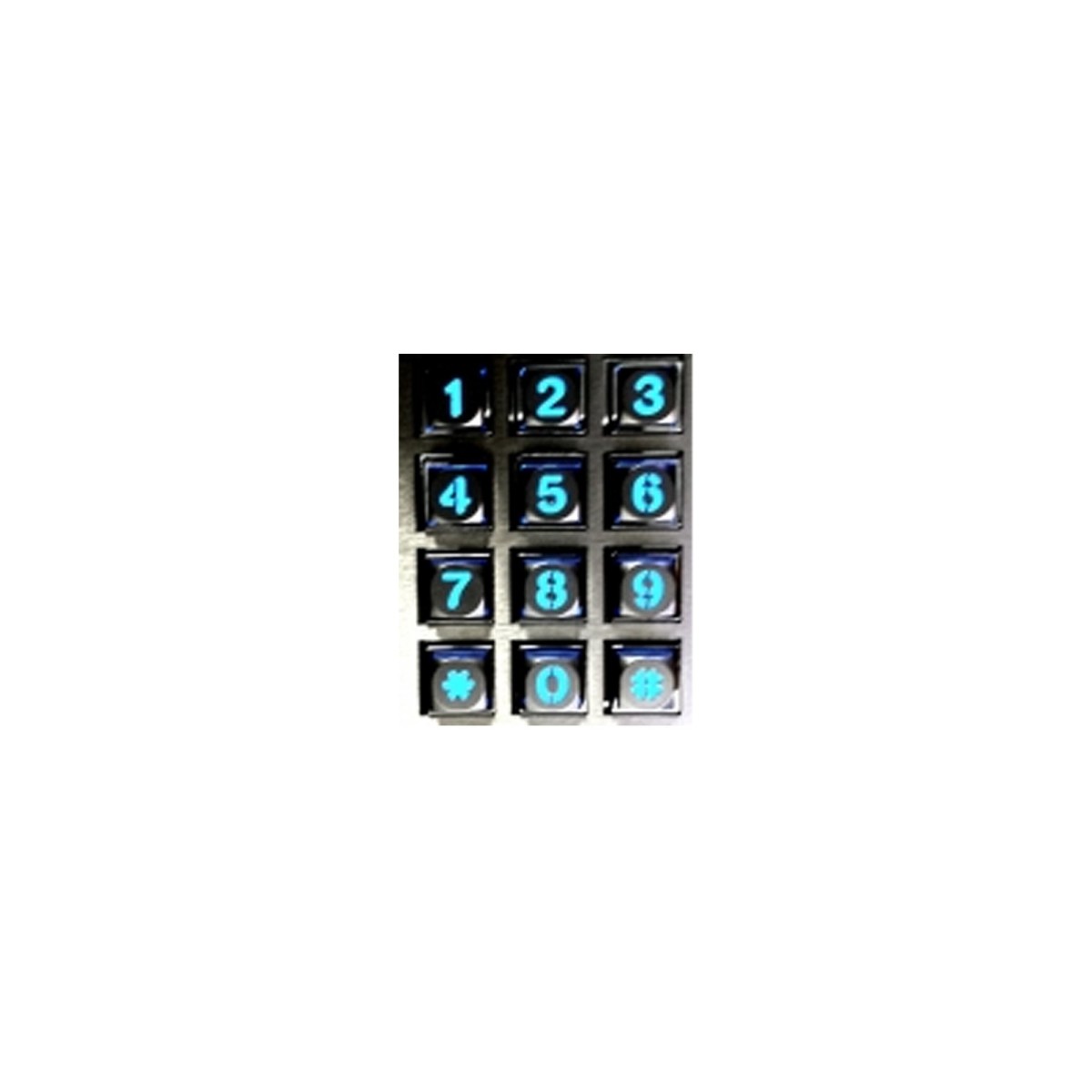 SES Blue Lighted Keypad With Cable & Gasket - OPTKBLKEYPAD - Gate ...