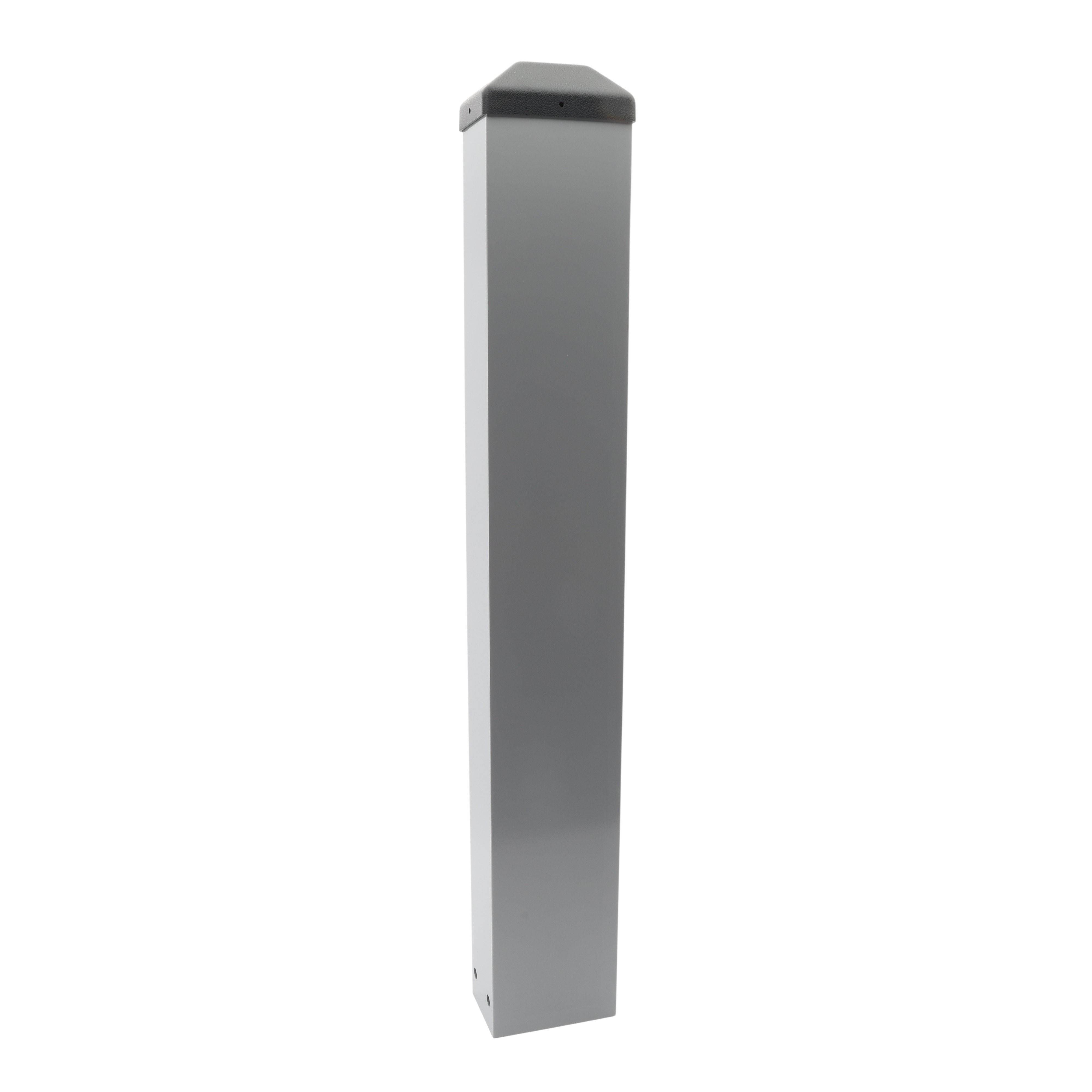 BEA 4ft Bollard for 6" Round or 4.75" Square Push Plates (Silver ...