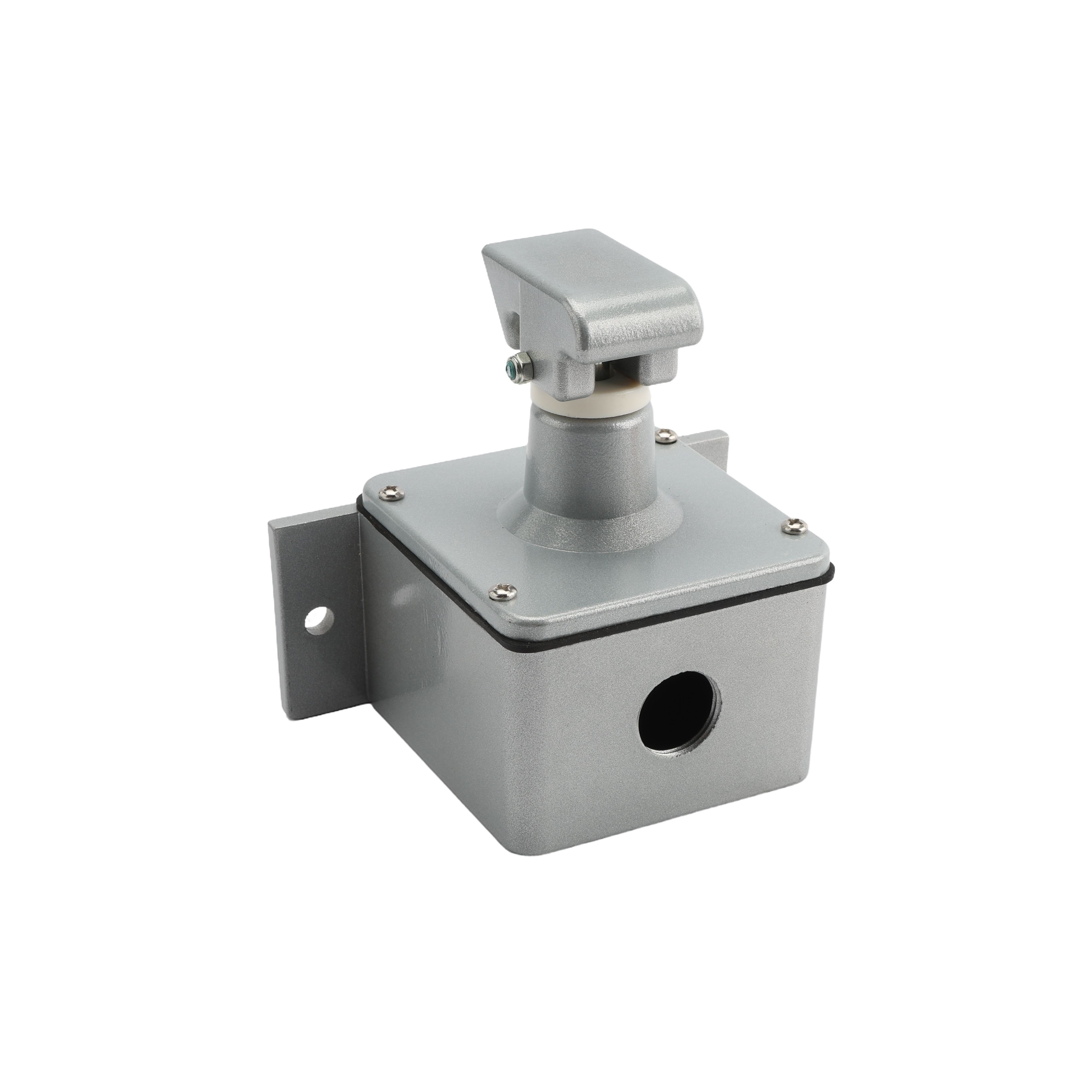 Ceiling Pull Switch with Rotating & Swivel SPST - CPM-MEA - Gate Opener ...