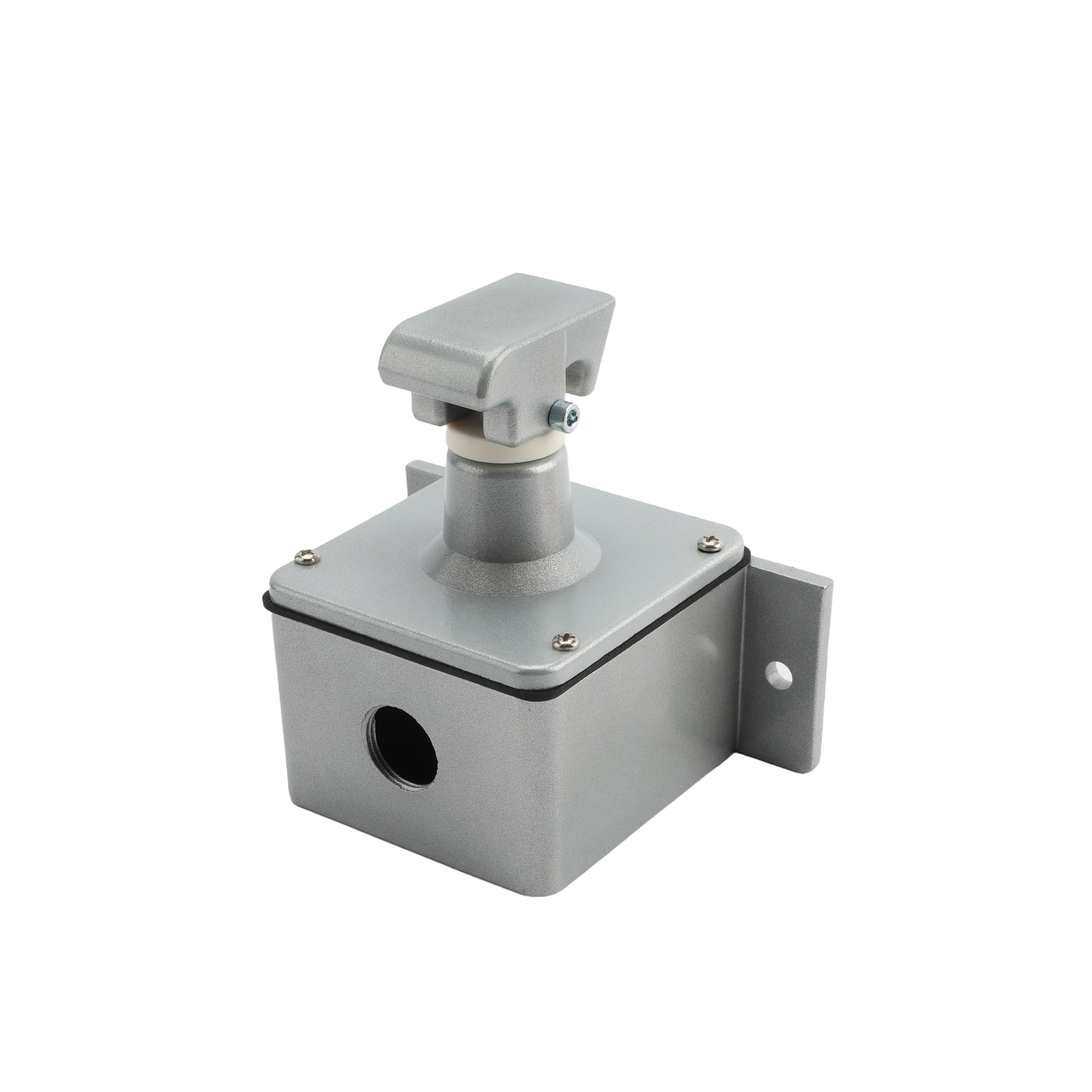 Ceiling Pull Switch with Rotating & Swivel SPST - CPM-MEA - Gate Opener ...
