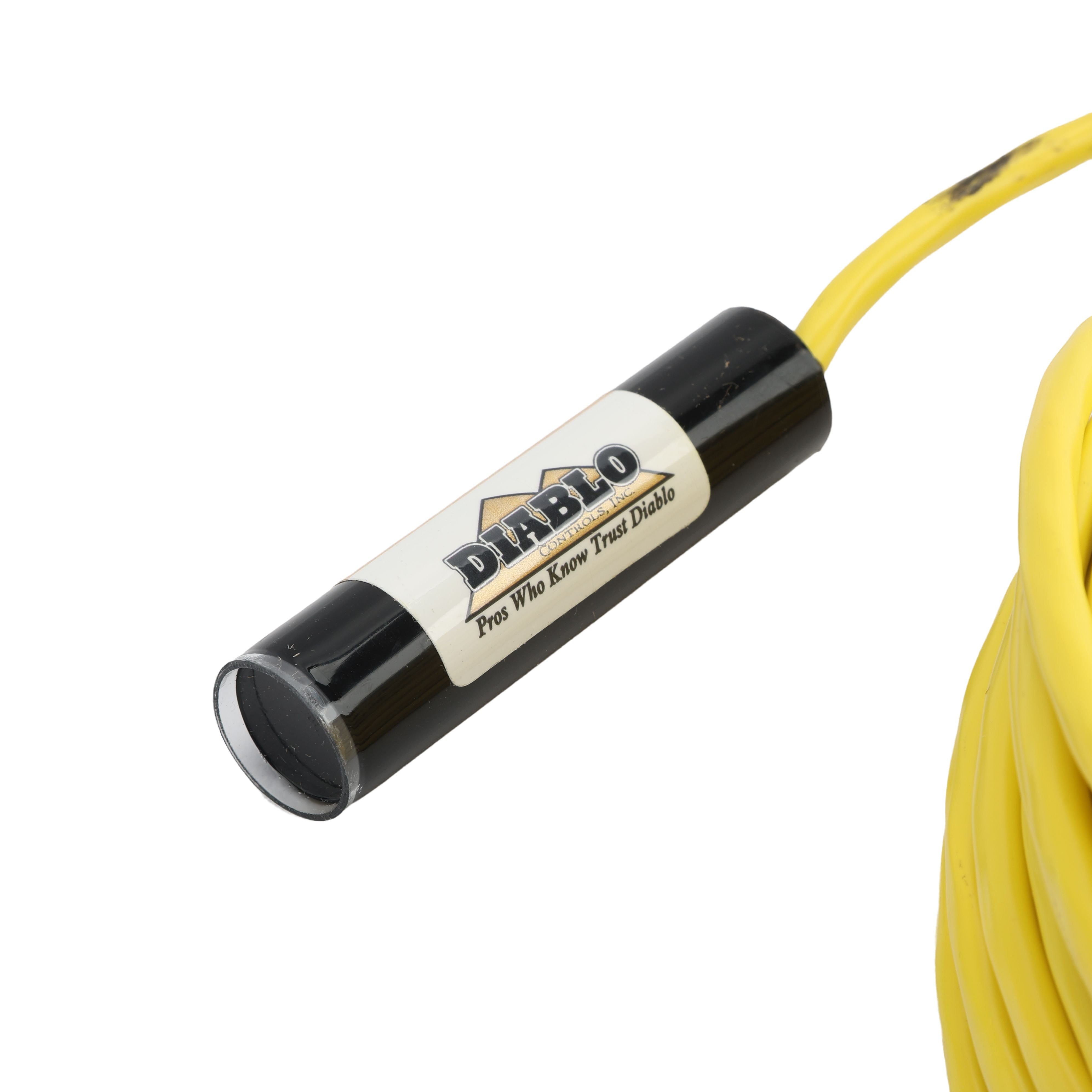 Diablo Magnetometer Vehicle Detector with Prescence Probe and 100 ft ...