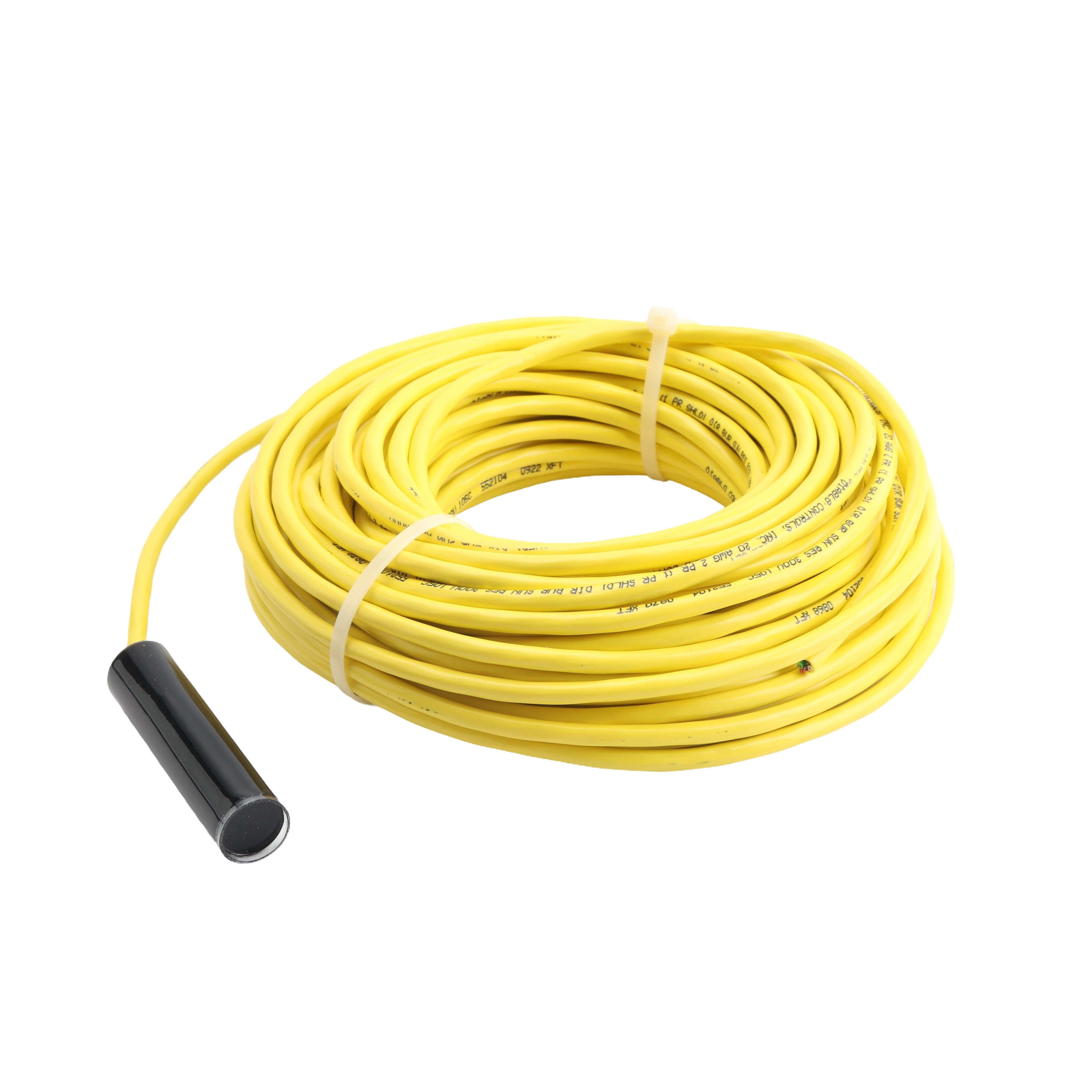 Diablo Magnetometer Vehicle Detector with Prescence Probe and 75 ft ...