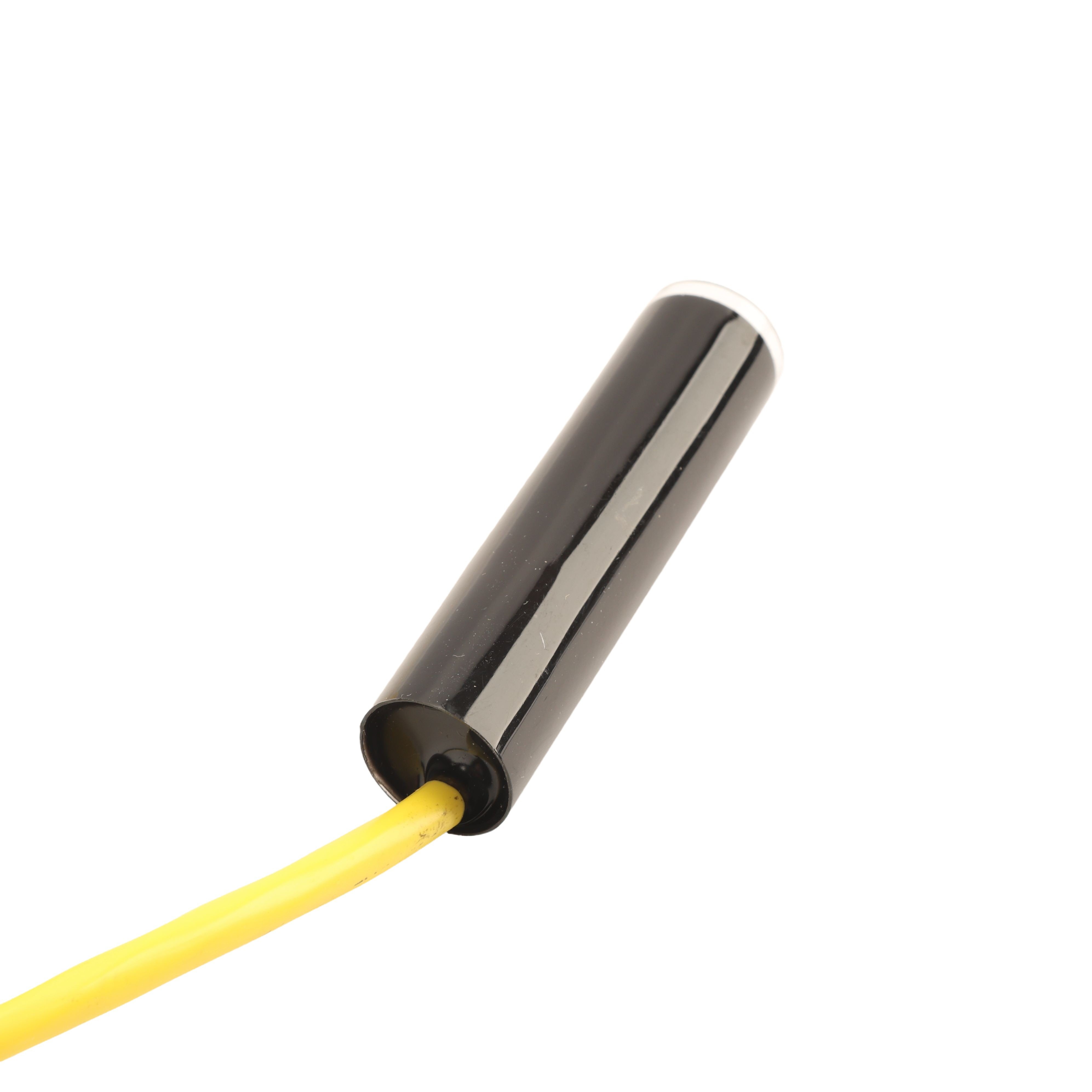 Diablo Magnetometer Vehicle Detector with Prescence Probe and 75 ft ...